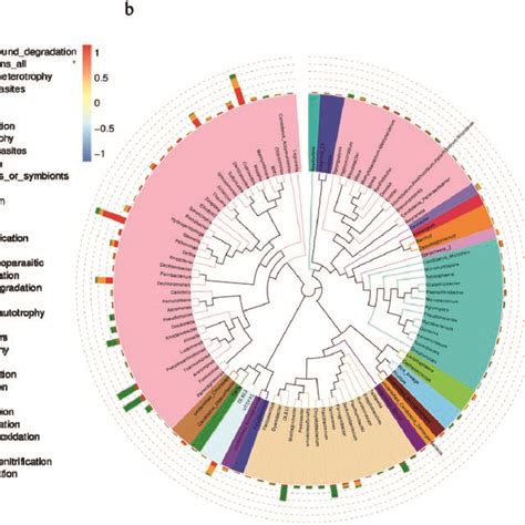 Metabolic Functional Diversity Of Bacterial Community Structure A And