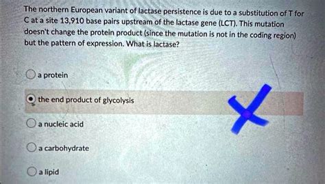 The Northern European Variant Of Lactase Persistence Is Due To A Substitution Of T For C At A