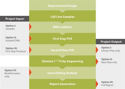 Crisprcas9 Sequencing Microsynth Ch