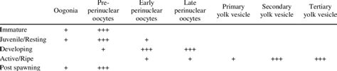 Histological Validation Of Gonads For Female Trachinotus Botla