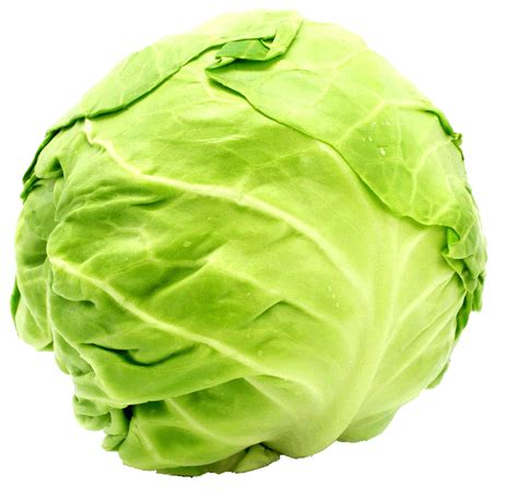 კომბოსტო Капуста Cabbage ჯანმრთელობა და მედიცინა