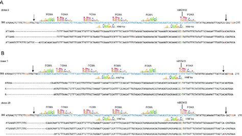 Figure S15 Individual Clones With Mutations Introduced To Multiple
