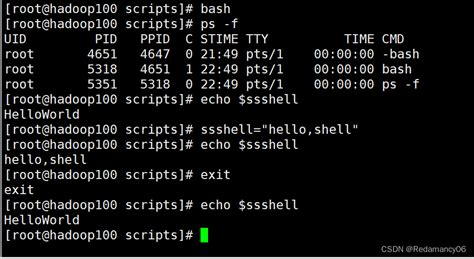 Shell变量系统预定义变量 HOME PWD SHELL USER自定义变量特殊变量 n env看所有的全局变量值set看所有变量 阿里云开发者社区