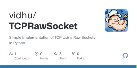 Github Vidhu Tcprawsocket Simple Implementation Of Tcp Using Raw Sockets In Python