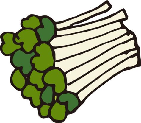 9月18日はかいわれ大根の日 奈良県のホームページでは栽培方法が掲載されています奈良県的今日は何の日
