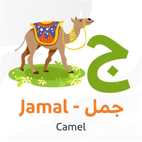 아랍어 알파벳 아랍어 문자로 된 아랍어 문자 낙타 배우기 프리미엄 Psd 파일