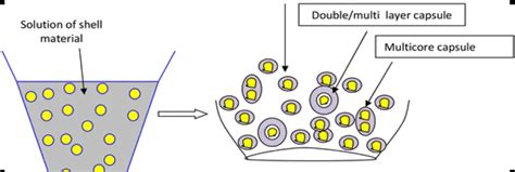 Microencapsulated Raising Agents Quality Solution Pektin Eksper