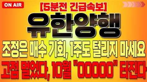 유한양행 주가 전망 새벽긴급속보 조정은 매수 기회 단 1주도 털리지 마세요 고점 한참 멀었습니다 10월 00000 터집니다 유한양행주식전망 유한