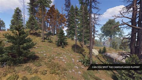 The Best RUST Skin Sets For The Forest Biome Corrosion Hour