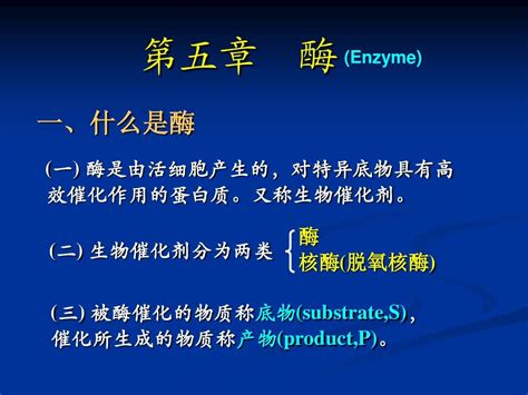 第五章 酶word文档在线阅读与下载无忧文档