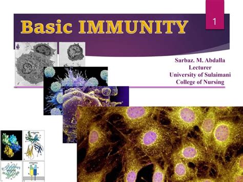Basic Of Immunology And Immunity Ppt