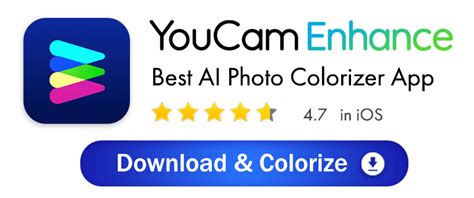 Online Ai Color Filter Add Realistic Colors To Your Photos Perfect