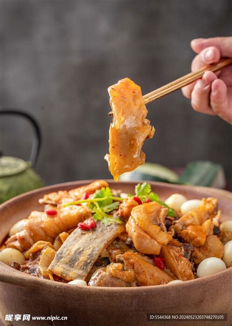甲鱼鸡煲摄影图 传统美食 餐饮美食 摄影图库 昵图网