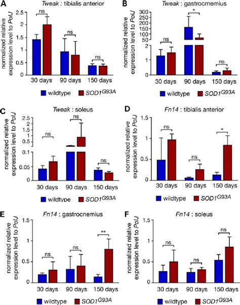 Aberrant Regulation Of Tweak And Fn14 Expression In The Skeletal Muscle Download Scientific