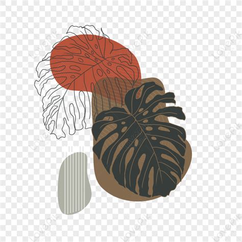 잉크 그림 일러스트 추상 선 그리기 기하학적 식물만화요약 Png 일러스트 무료 다운로드 Lovepik