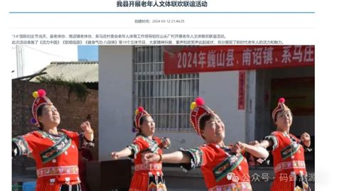 【含开题报告文档ppt源码】基于springboot的乡村老龄居民信息管理系统 Csdn博客