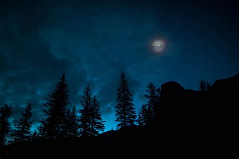 Night Forest 4k Wallpapers Wallpaper Cave