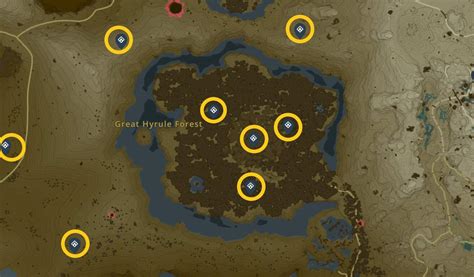 All Great Hyrule Forest Shrine Locations In Zelda Totk
