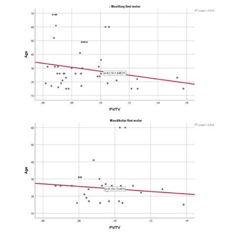Demonstration Of Pulp And Tooth Volume Measurements In Itk Snap 24