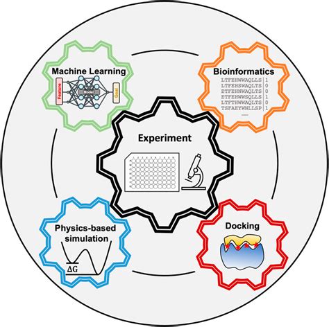 Frontiers Towards Rational Computational Peptide Design