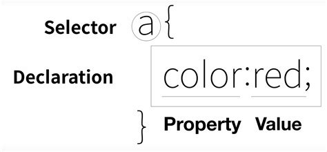 CSS Box Model Selector