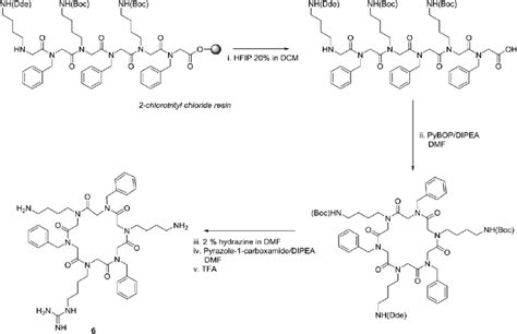 The Synthesis Of A Cyclic Peptoid 6 Containing Both Download Scientific Diagram