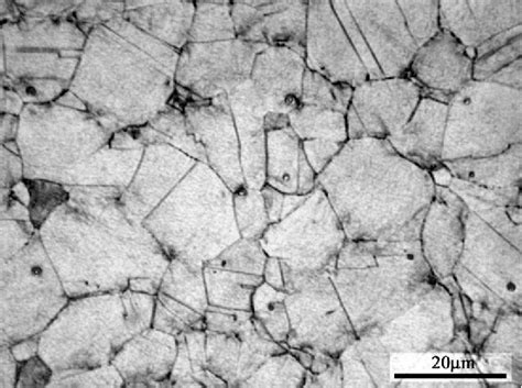 Figure 1 From The Dynamic And Metadynamic Recrystallisation Of In 718