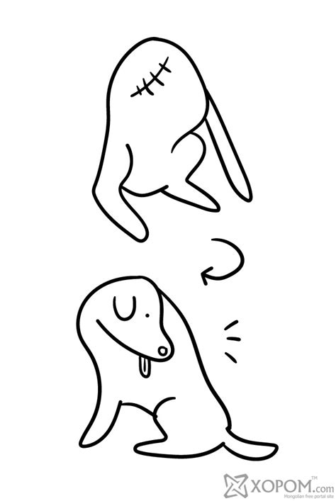 Хүмүүсийг төөрөгдөлд оруулаад буй нохойны зураг Та энэ зургийг хараад