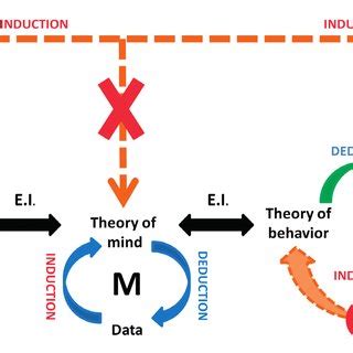 Problematic Inductive Inferences Within And Between Systems T Download Scientific Diagram