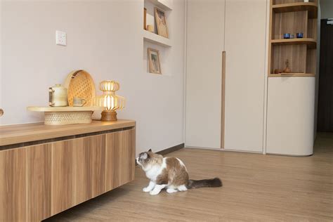 E0 Grade Standards For Low Formaldehyde Emissions Explained