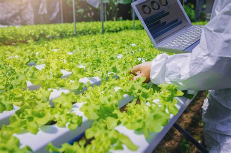 How To Use A Hydroponic Nutrient Chart