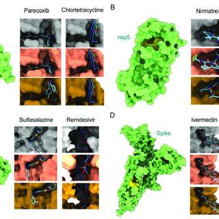 Surface Model Of Binding Of Inhibitors To The Active Sites Of Nsp3 Download Scientific Diagram