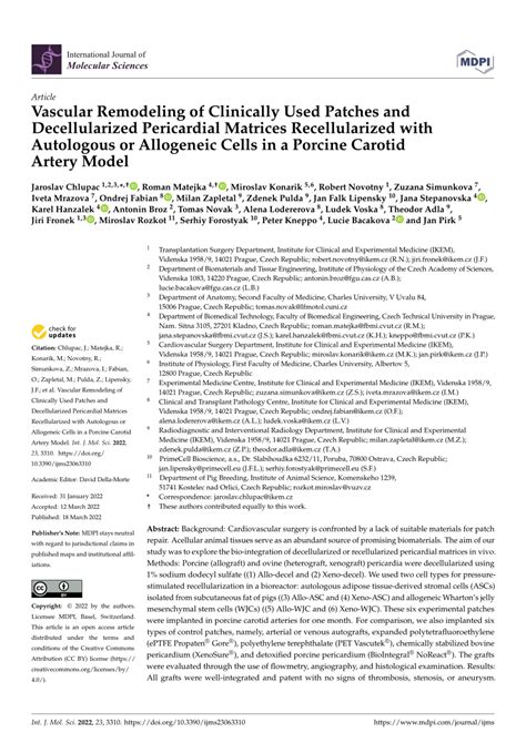 Pdf Vascular Remodeling Of Clinically Used Patches And Decellularized