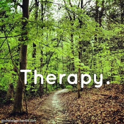 The Incredible Health Benefits Of Forest Bathing Ionloop