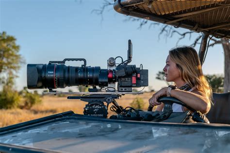 Anna Dimitriadis Wildlife