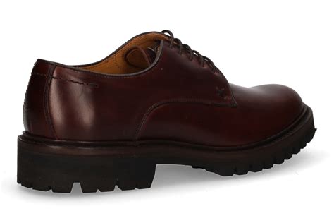 Hippocampe De Blucher Roberto Garrudo