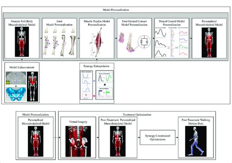 overview of the computational processes used for model personalization