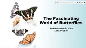 How To Add Audio To PowerPoint Slides ONLYOFFICE Blog