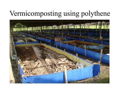 Vermicomposting Pdf