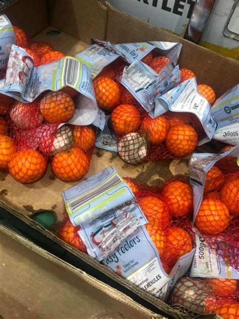 Council Investigates Lidl Store Branded Disgusting Over Rotting Food And Stained Floors