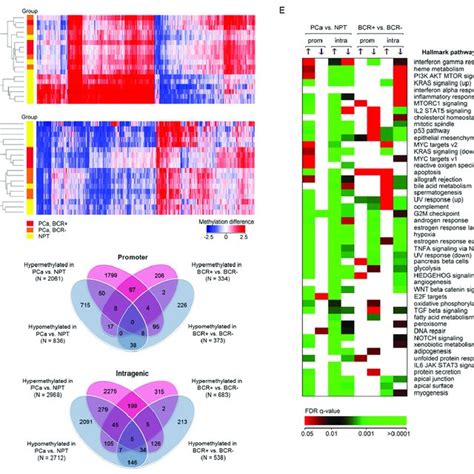 Microarray Based Dna Methylation Analysis A Dna Methylation