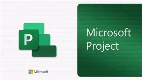 Microsoft Project Professional 2021 At The Best Price