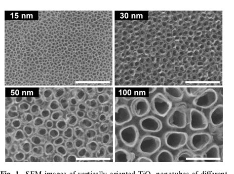 Figure 1 From Nanoscale Surface Modifications Of Medically Relevant
