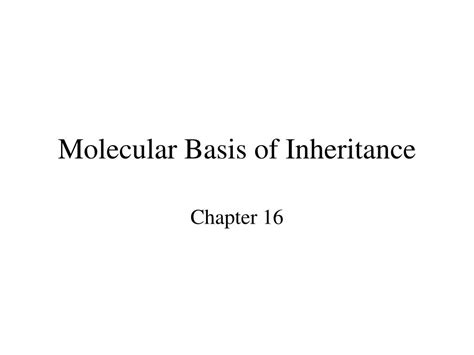 PPT Molecular Basis Of Inheritance PowerPoint Presentation Free Download ID