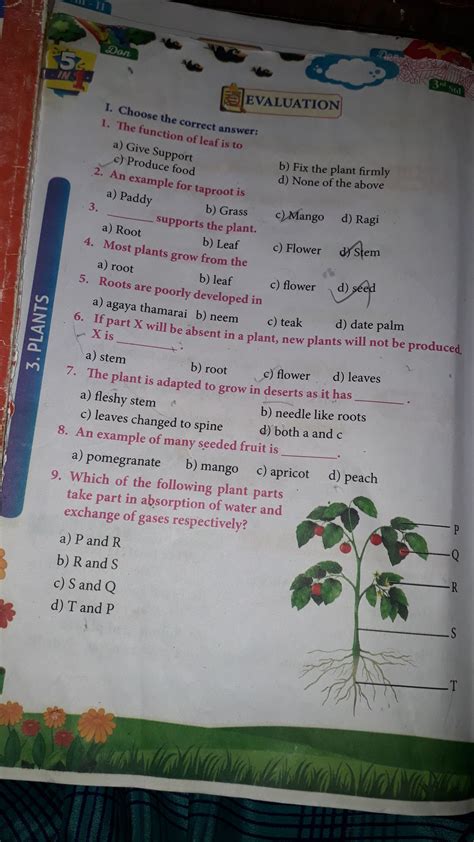 SCIENCE Science Assignment Teachmint