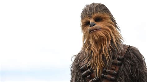 Prosecutor Defeats Chewbacca Defense In An Actual Federal Court Case