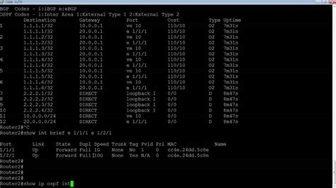 auto cost reference bandwidth 10000 at paul nichols blog