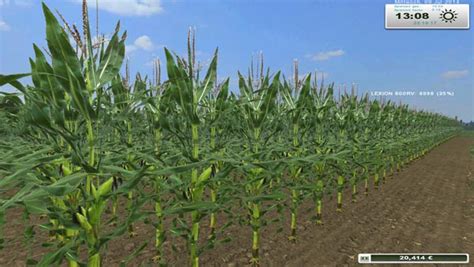 Real Corn HD Texture V 1 1 SP LS2013 Com