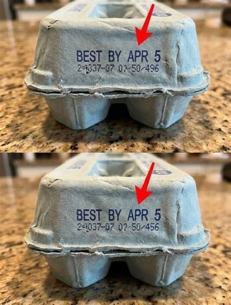 The Secret Meanings Behind The Codes On Egg Cartons Recipes And Tips