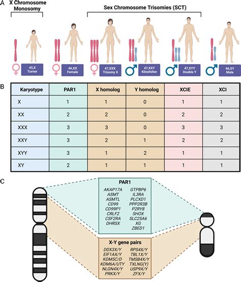 The Multi Omic Landscape Of Sex Chromosome Abnormalities Current